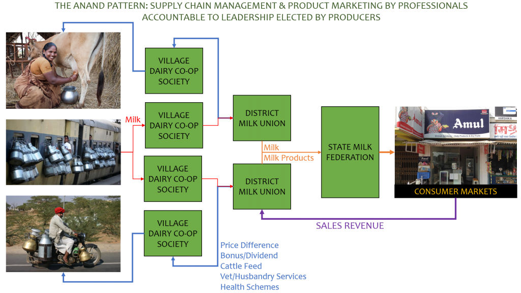 Amul - The Voice of Farmers - Naman Varshney | Tealfeed