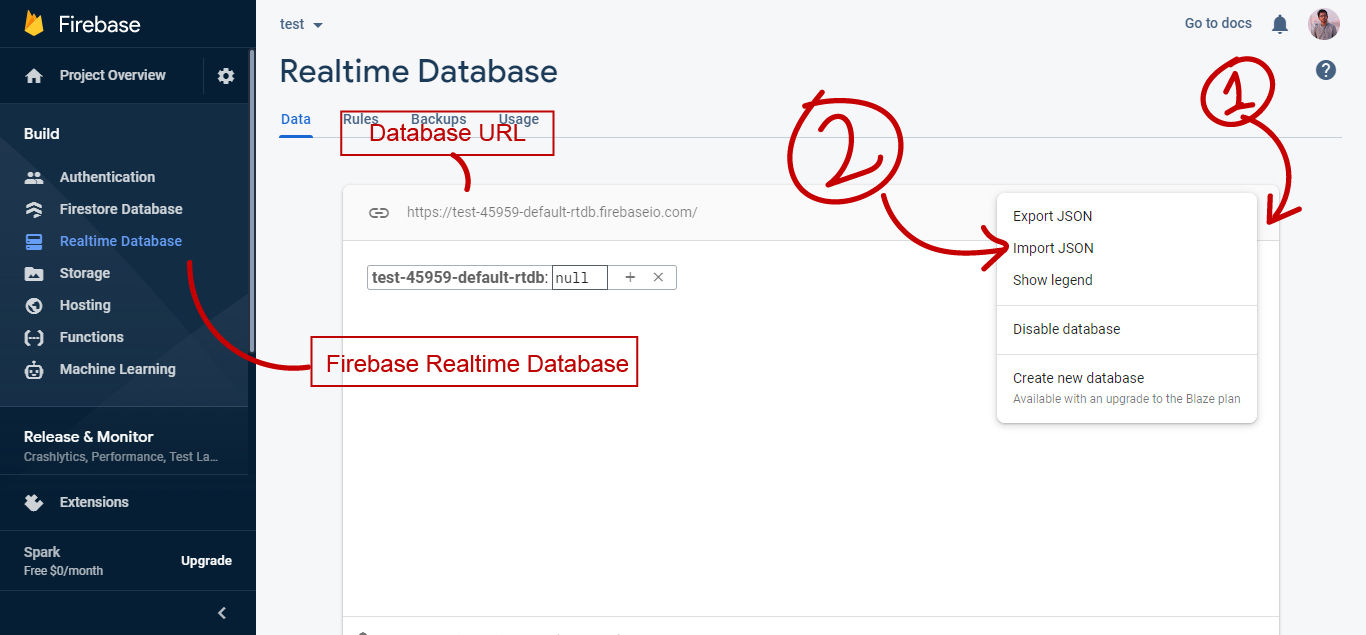 How to upload a JSON file to firebase and access it as list items from ...