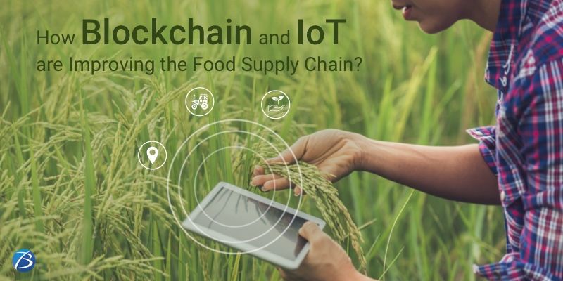 How Blockchain and IoT are Improving the Food Supply Chain? - shelly ...