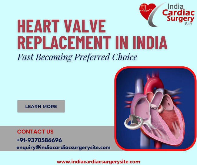 Heart Valve Replacement in India Fast Becoming Preferred Choice - India ...