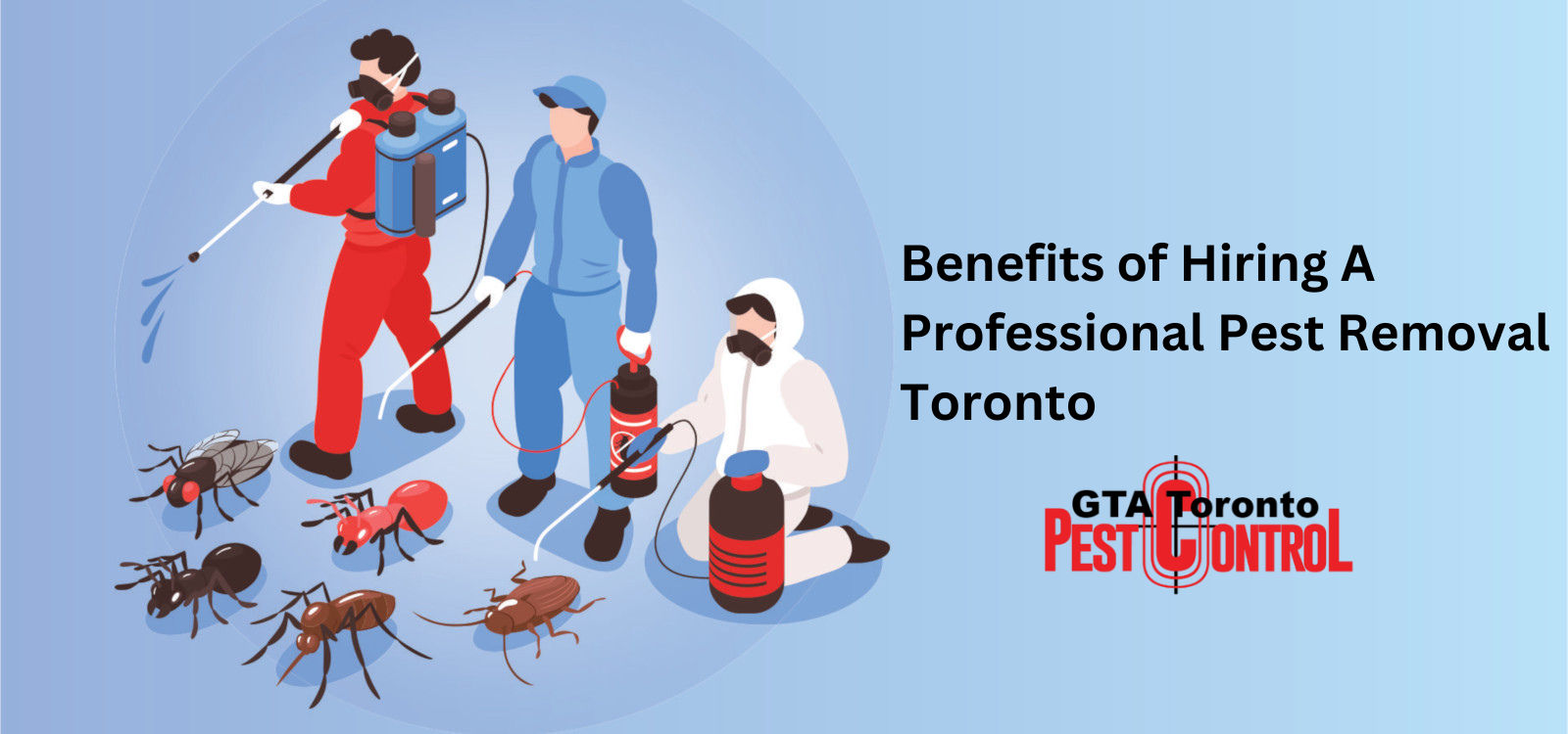 Benefits of Hiring A Professional Pest Removal Toronto - GTA Toronto ...