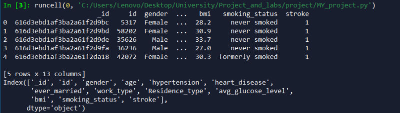 Stroke Prediction by Decision Tree Algorithm - Amir Alizadeh | Tealfeed