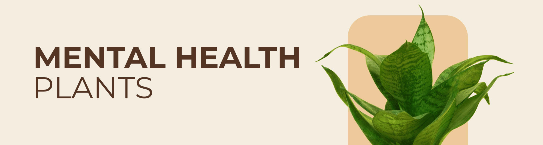 The Healing Power of Mental Health Plants - Uddesh Bommawar | Tealfeed