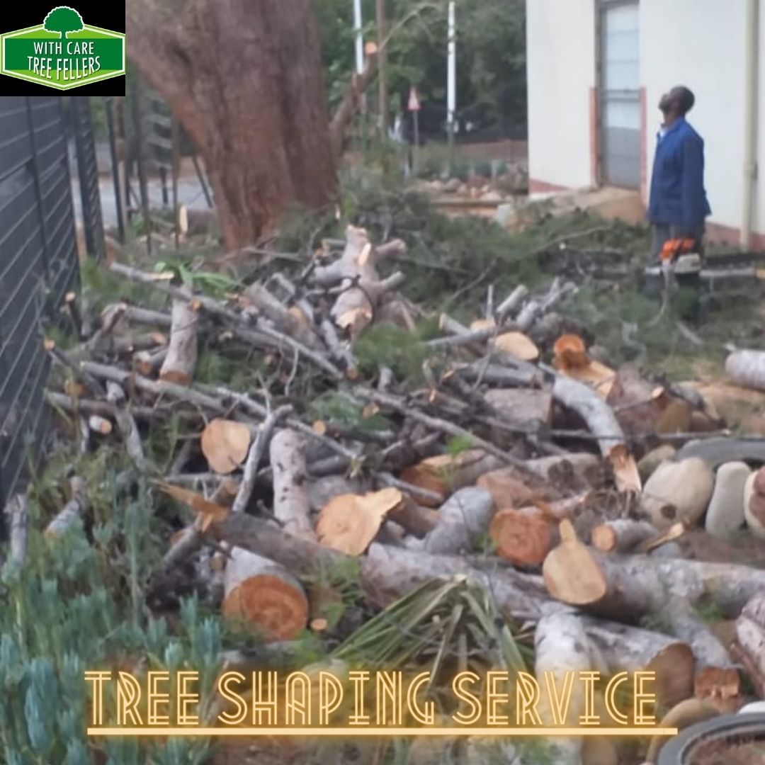 Tree Shaping Service: A Key to Preserving Heritage Trees and Landmarks - With Care Tree Felling ...