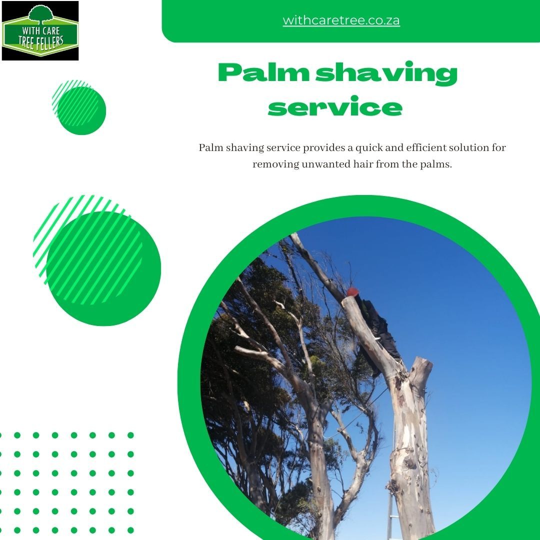 Palm Shaving Service: The Key to Healthy and Beautiful Trees! - With ...