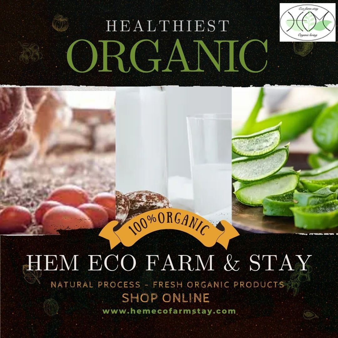 Organic Farm in South Goa: An Enriching Experience for Tourists - Hem ...