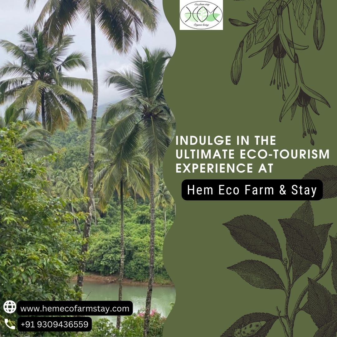 Exploring the Wonders of Eco-Tourism: A Sustainable Journey - Hem Eco ...
