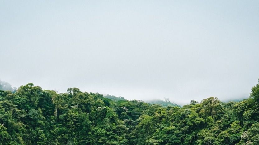 Understanding the Amazon Rainforest with Multi-Label Classification ...