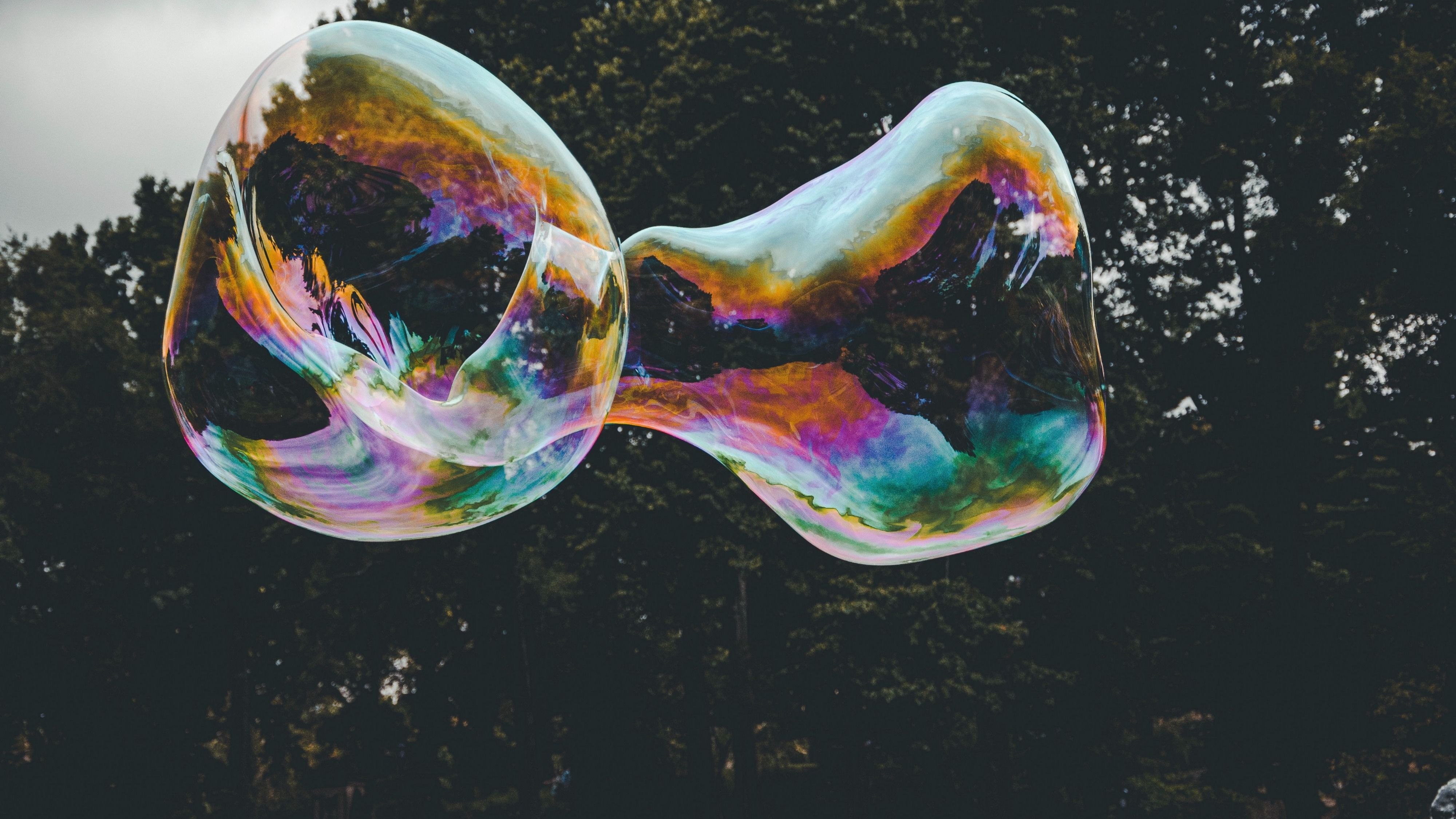 The Culture Bubble — Why You Stop Seeing Clearly and Start Acting ...