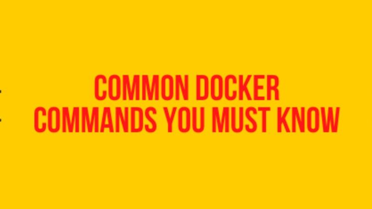 Common Docker Commands You Must Know Balvinder Singh Tealfeed