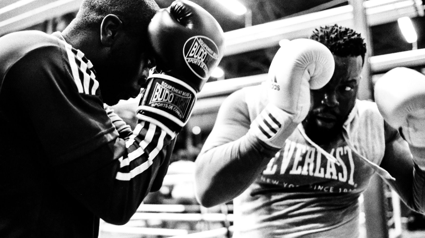 The Fight-or-Flight Effect: Pros & Cons - Samuel Armen | Tealfeed