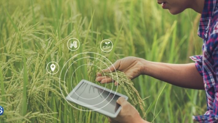How Blockchain and IoT are Improving the Food Supply Chain? - shelly ...
