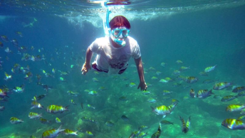 Have The Best Day Trip Snorkel in La Paz, Mexico - Baja Snorkel | Tealfeed