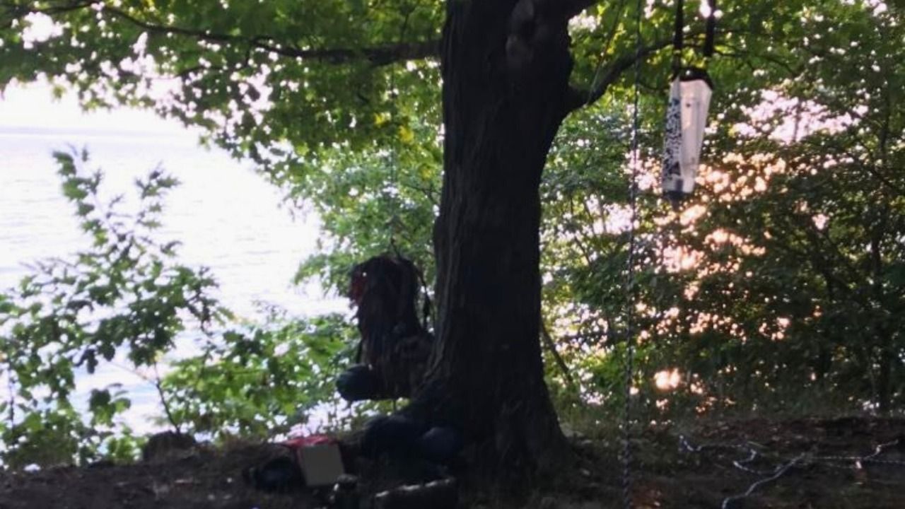 The Semblance of a Path - Daniel Christmann | Tealfeed