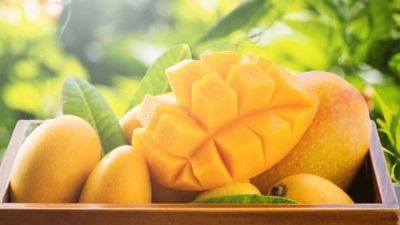Fruits Such As Mangoes Offer A Variety Of Health Benefits - pharmev com ...