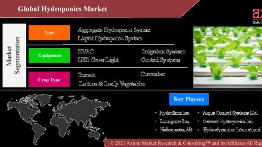 Hydroponics Market Report Size and Forecast, 2019-2028 - Vishal | Tealfeed