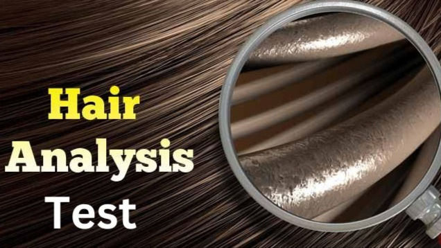 Hair Mineral Analysis Test - 3 Important FAQs to Explore! - Hair ...