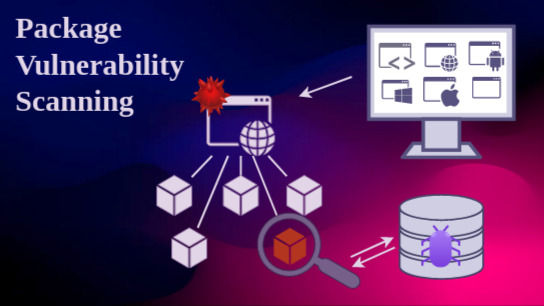Package Vulnerability Scanning - Sueda Gülgün | Tealfeed