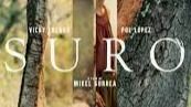 Ver Suro Online Gratis (2022) la Película Completa en español y latino ...