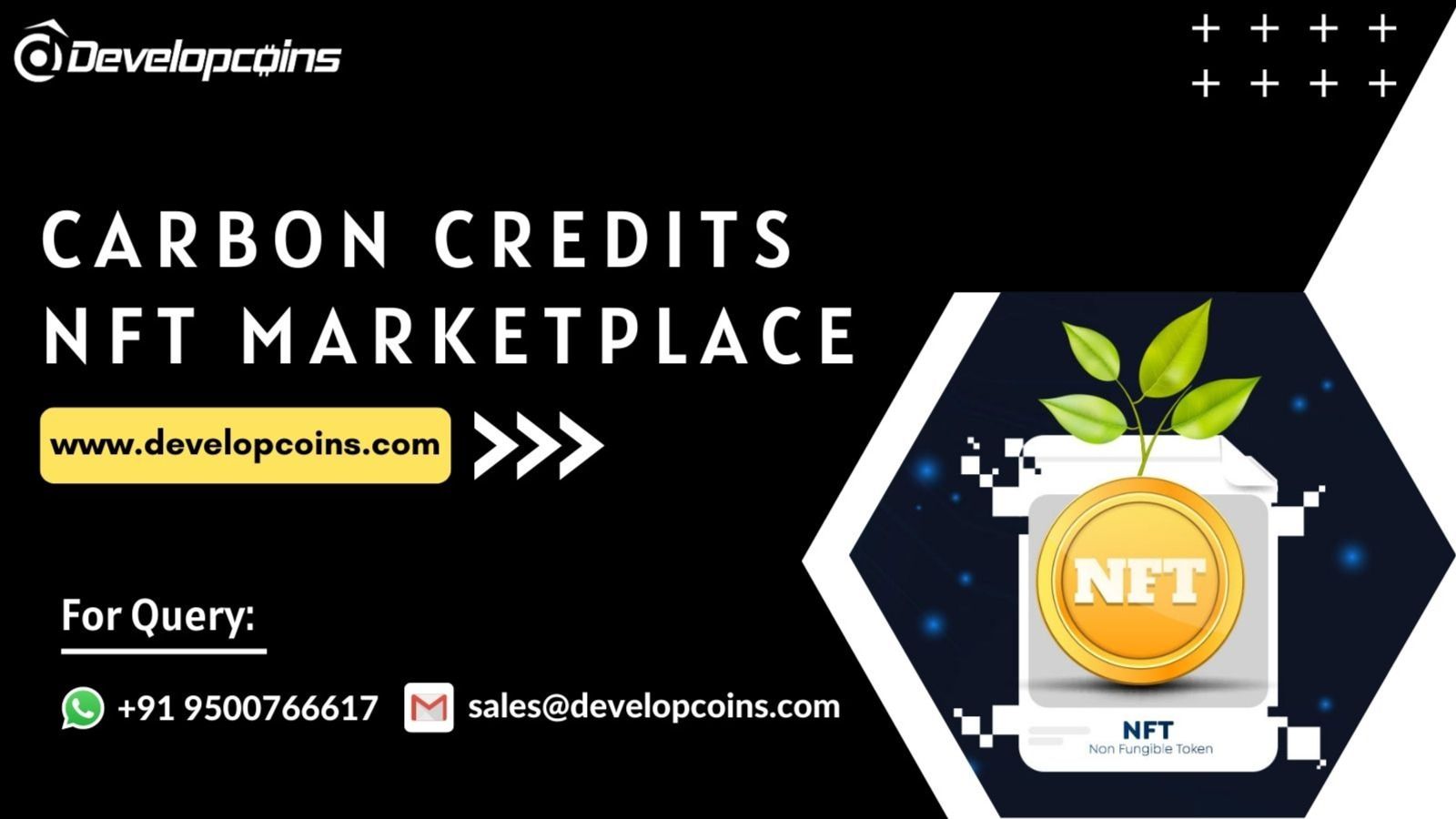 Explore How Beneficial It Is To Build A Carbon Credits NFT Marketplace ...