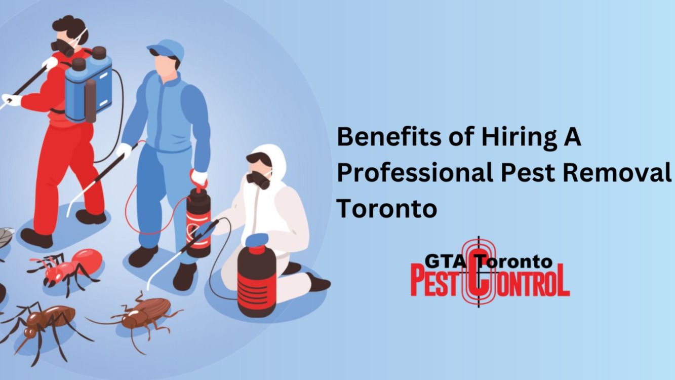 Benefits of Hiring A Professional Pest Removal Toronto - GTA Toronto ...