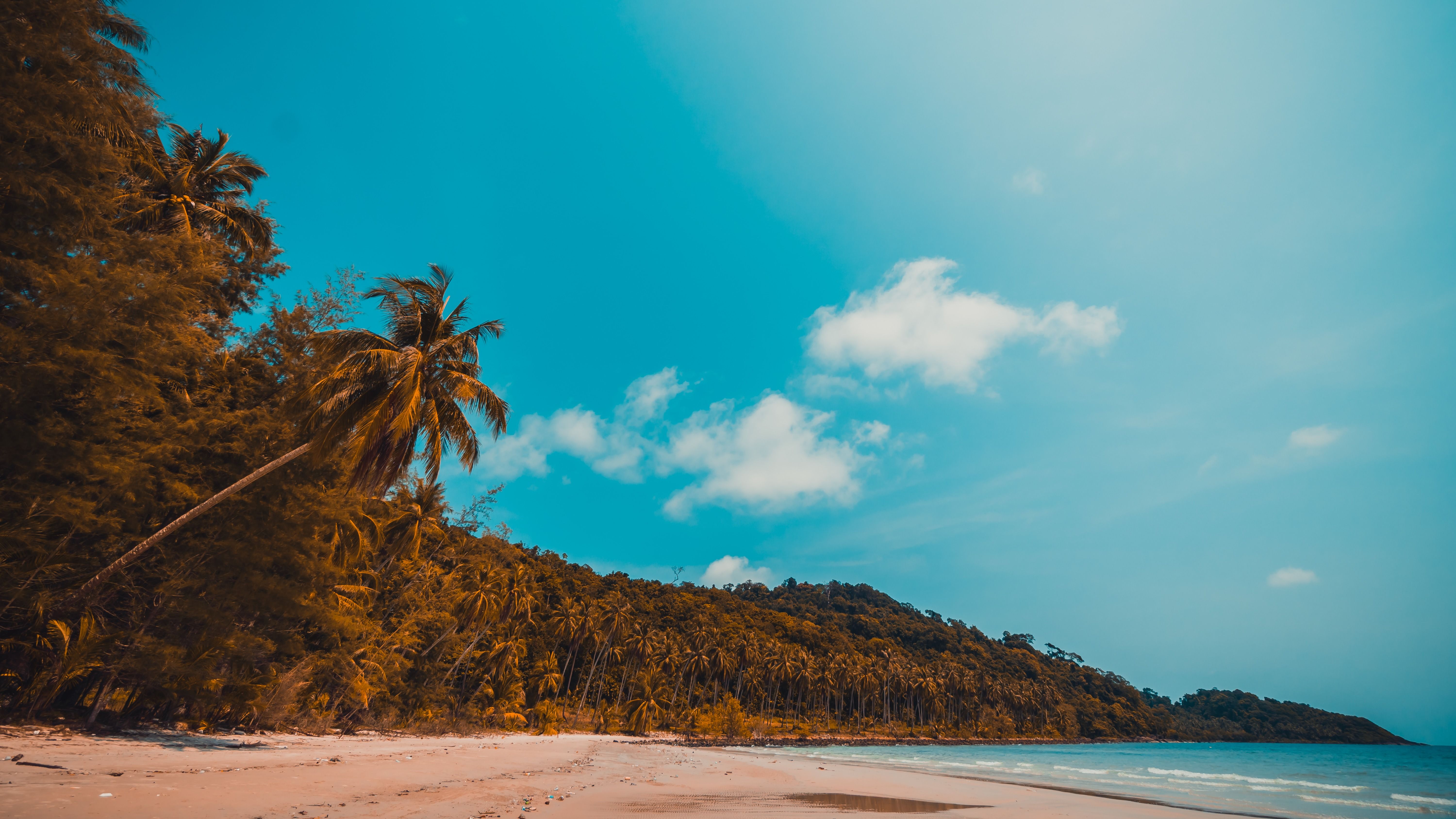 Top Reasons to Visit Goa in Summer - White Flower Cottages | Tealfeed