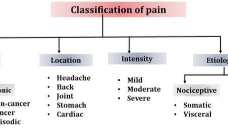 What are the classification of pain? - Mountainview headache | Tealfeed