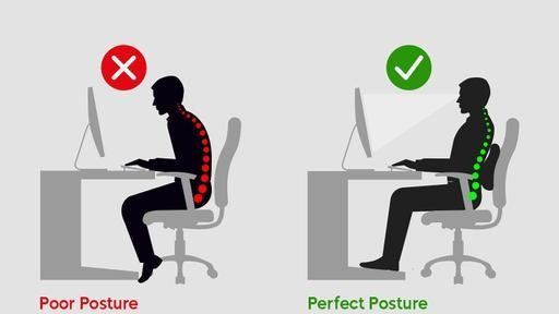 The Importance of Lumbar Support on Your Office Chair - Ross Flynn ...