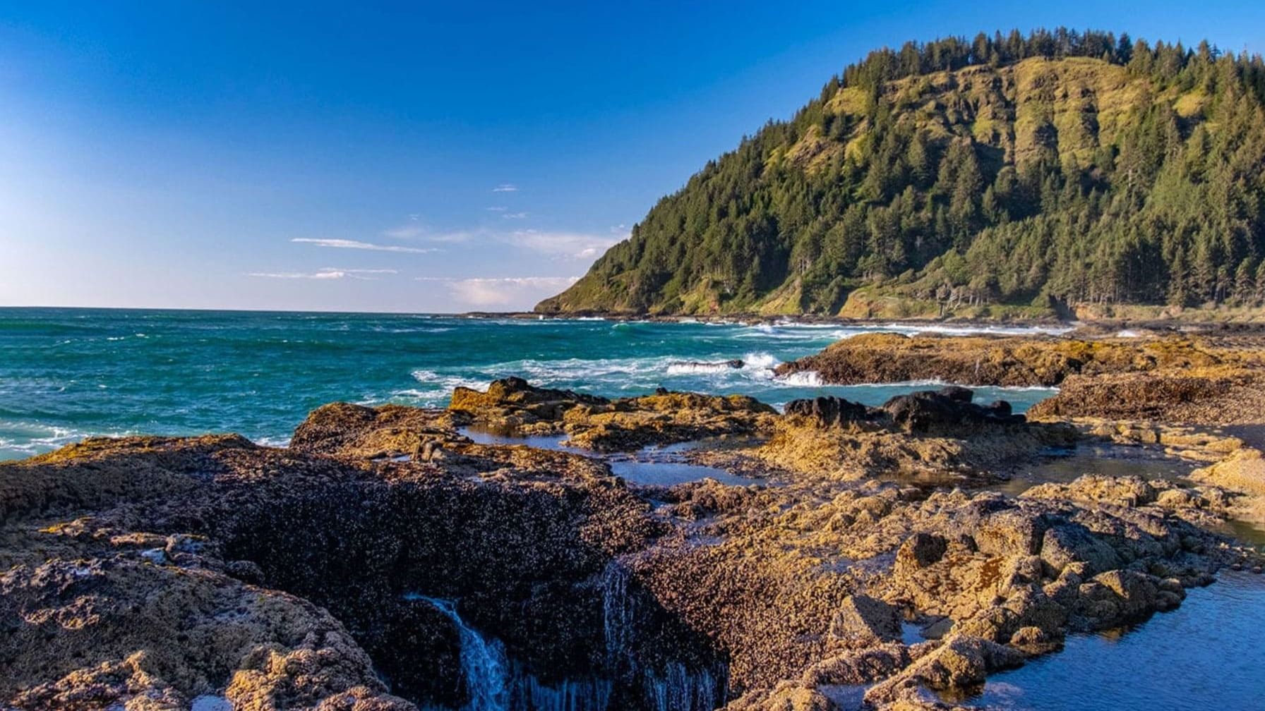 Discover the Beauty of the Northern Oregon Coast: A Memorable Day Trip ...