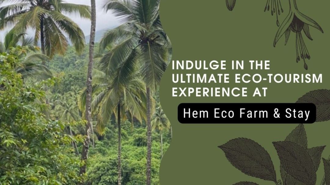 Exploring the Wonders of Eco-Tourism: A Sustainable Journey - Hem Eco ...