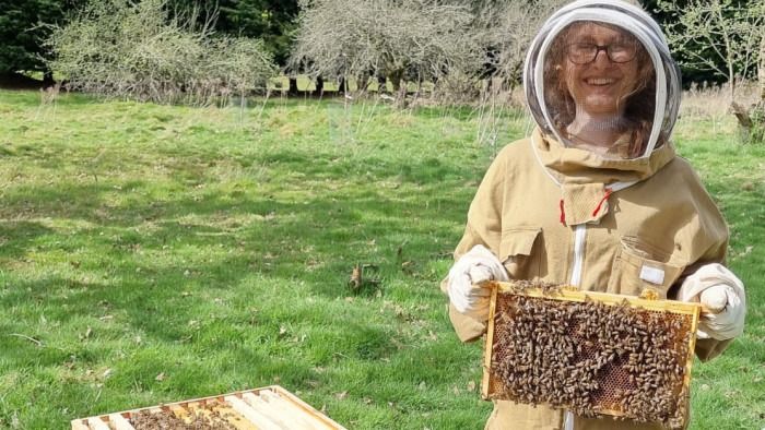 Turkish Honey Tips and Facts to Celebrate World Bee Day in the ...