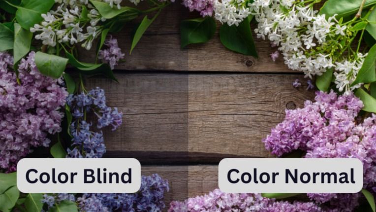 Color Blindness: Types, Causes & Treatment - Color Blind Test | Tealfeed
