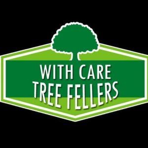 Tree Shaping Service: A Key to Preserving Heritage Trees and Landmarks ...